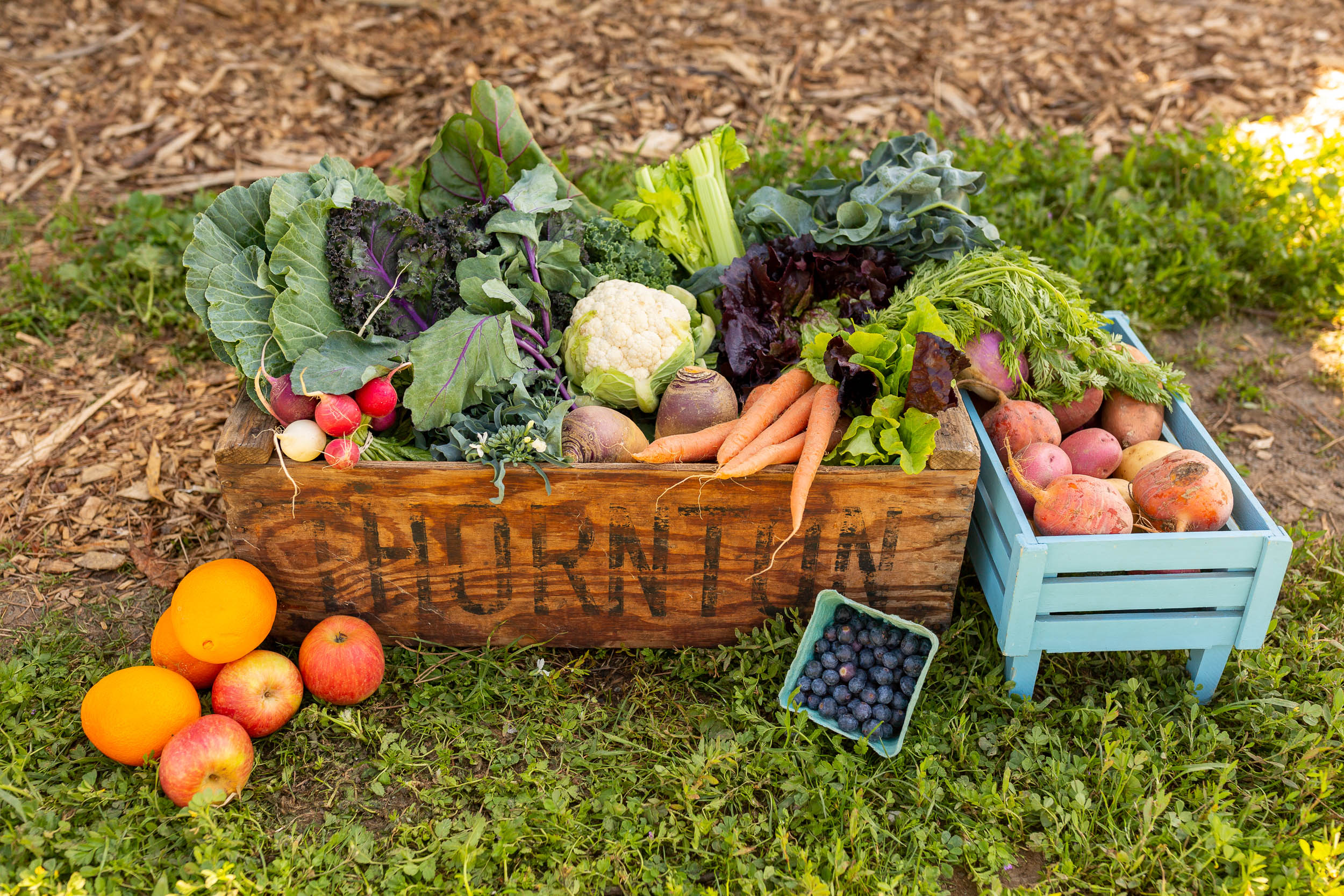 Urban Edge Farm Newsletter — May 2025 Edition - The Urban Edge Farm